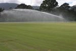 Lawn Care Sunshine Coast - Watering New Turf | Glenview Turf